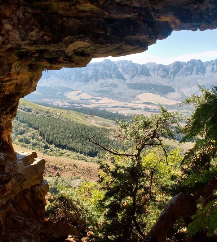 Learn About The Cave Habitat Of Bats - Ikewana : Ikewana