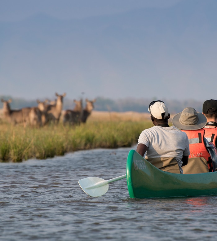 Explore The River Of Life On A Canoe Safari - Ikewana : Ikewana